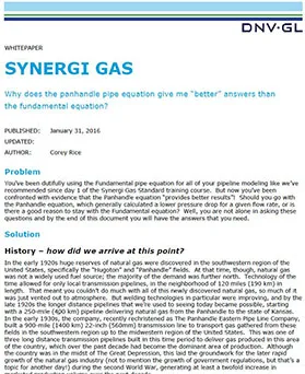 Synergi Gas